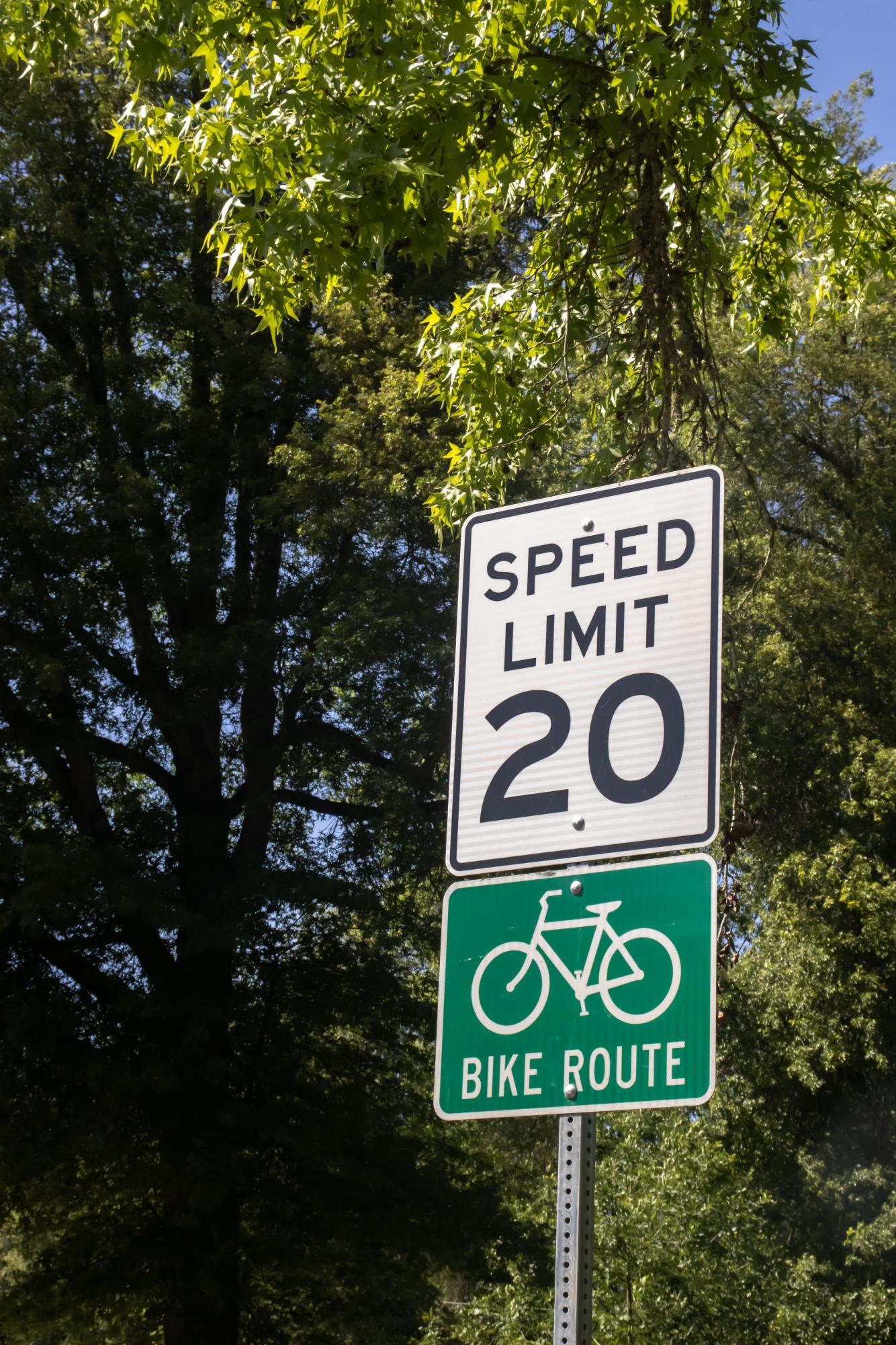 City announces speed limit reductions in support of Vision Zero - Daily ...